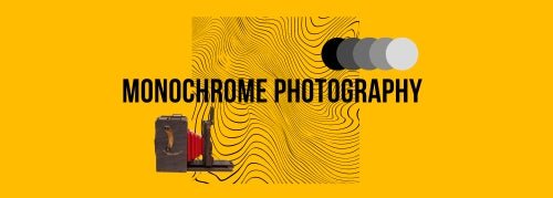 Monochrome Photography | Key Elements – Jollylook